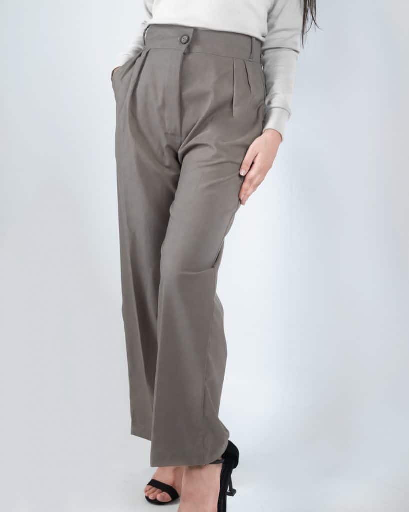 Women Grey Straight Fit Pleated Formal Pants - Gorur Ghash
